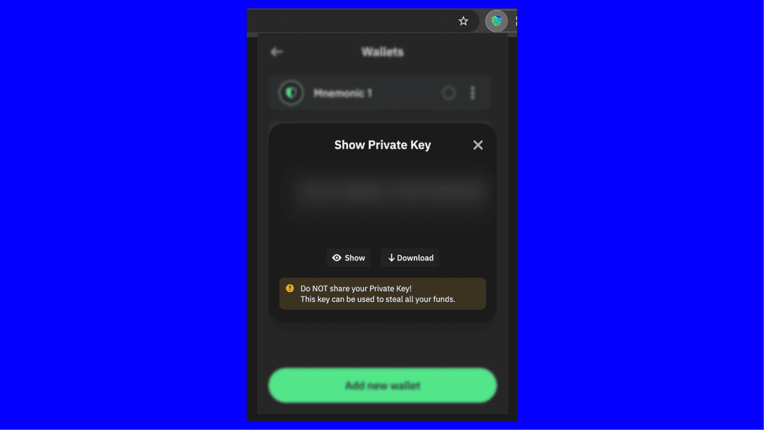 How to Backup Your Recovery Phrase and Export Private Keys in Trust ...