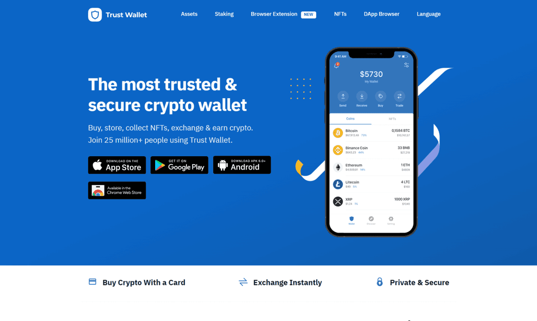 A Beginner’s Guide to PEPE Coin | Trust