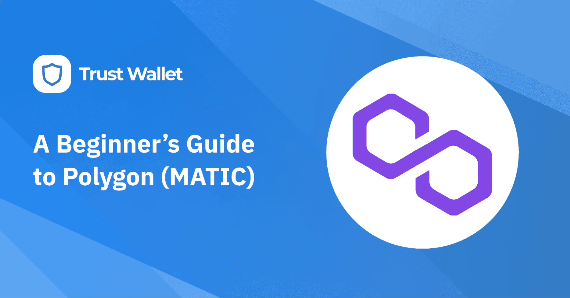 A Beginner’s Guide to Polygon | Trust