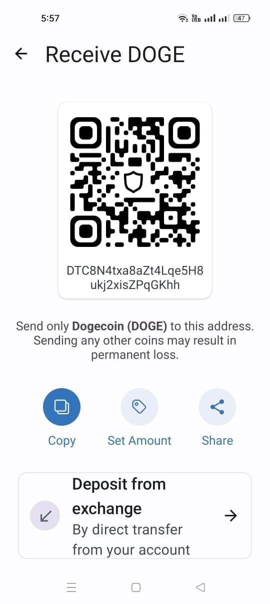 A Beginner’s Guide to Dogecoin (DOGE) | Trust