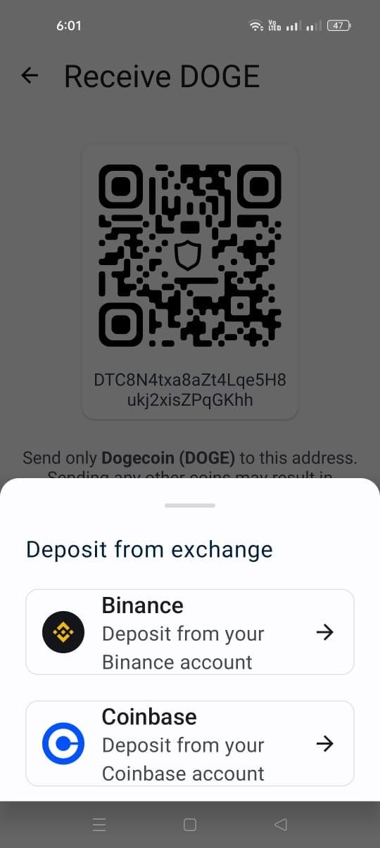 A Beginner’s Guide to Dogecoin (DOGE) | Trust