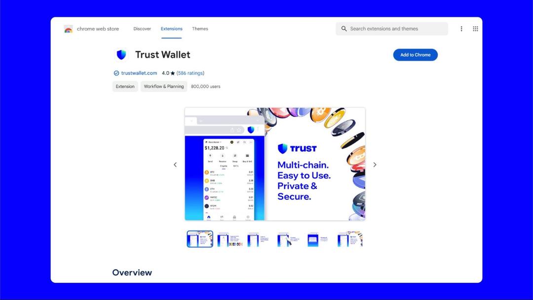 The Official Beginner's Guide To Trust Wallet | Trust