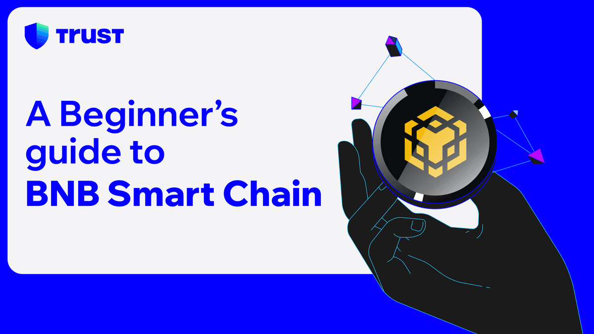 A Beginner's Guide to BNB Smart Chain | Trust Wallet