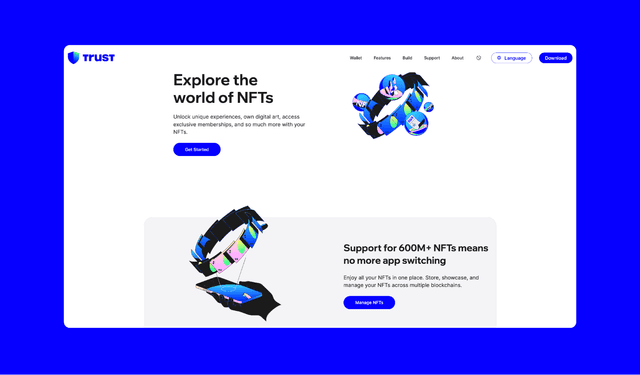 NFTs in Trust Wallet: How to Store, Send, and Showcase Digital ...