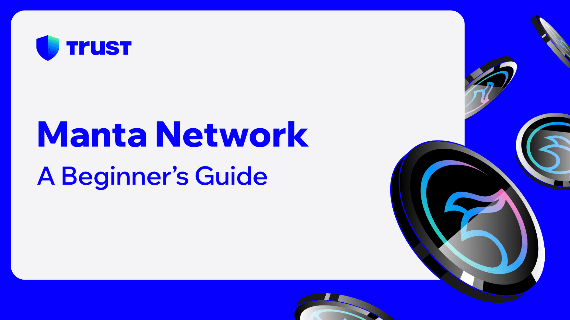 Manta Network: A Beginner’s Guide | Trust