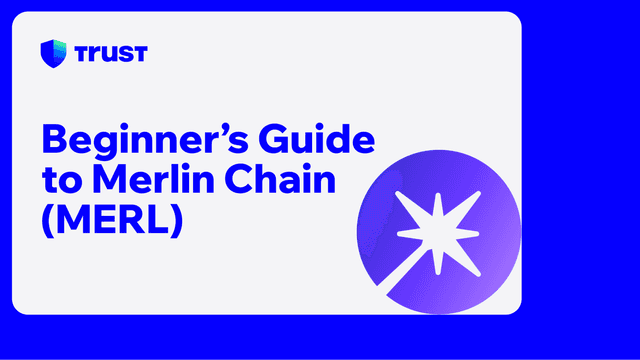 Beginner's Guide to Merlin Chain (MERL) | Trust