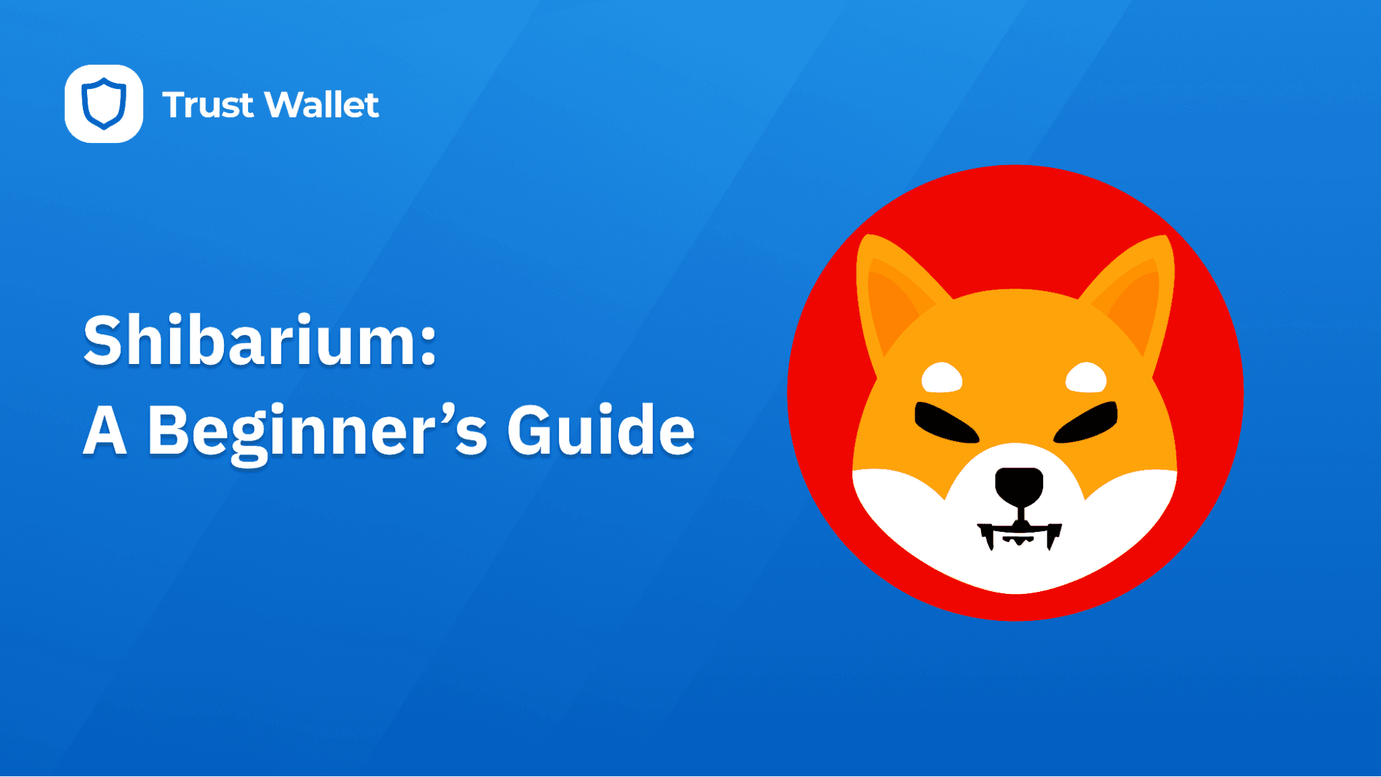 Shibarium: A Beginner’s Guide | Trust