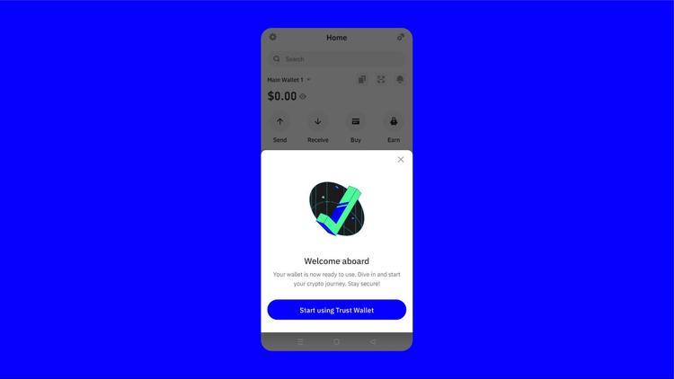 Solana-Based Memecoins: A Beginner’s Guide | Trust