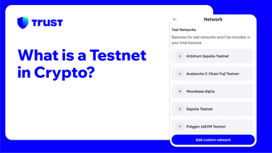 What is a Testnet in Crypto? | Trust
