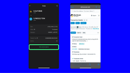 Transaction Status: Understanding Crypto Transactions in Trust Wallet ...