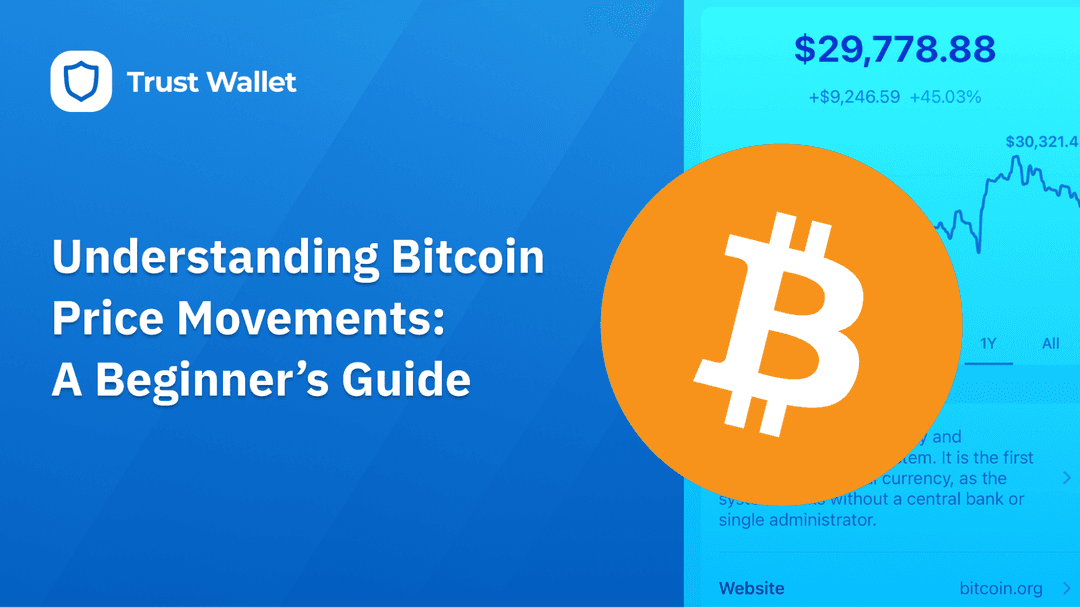 Understanding Major Bitcoin Price Movements: A Beginner’s Guide | Trust