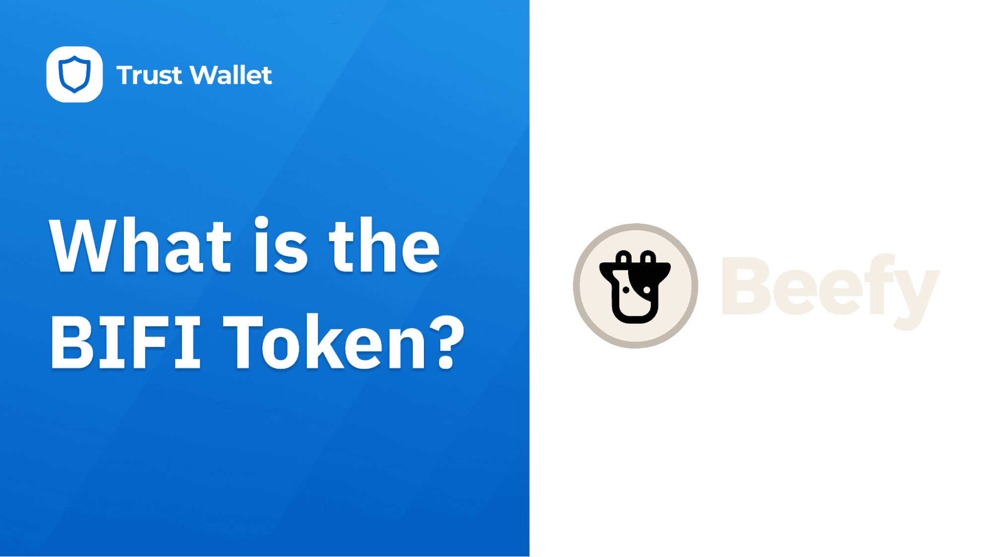 What is the BIFI token? | Trust