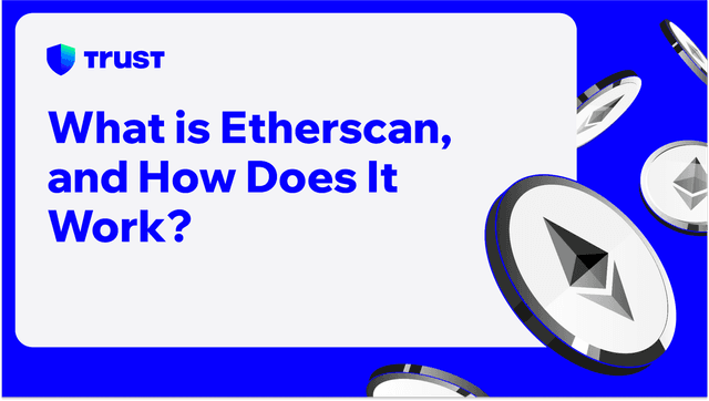 What Is Etherscan And How Does It Work Trust